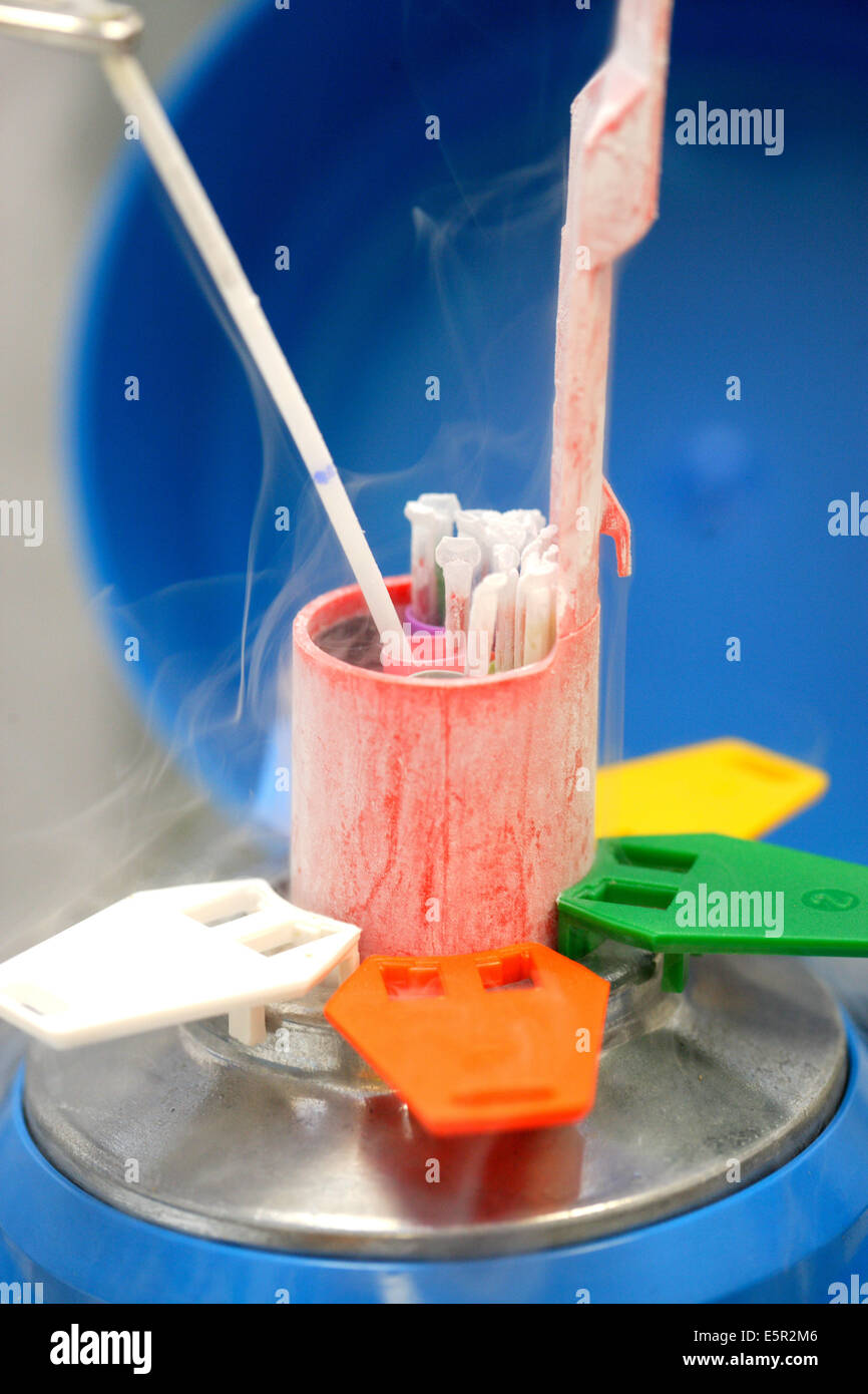 Cryopreservation of frozen sperm straws and embryos in liquid nitrogen ...