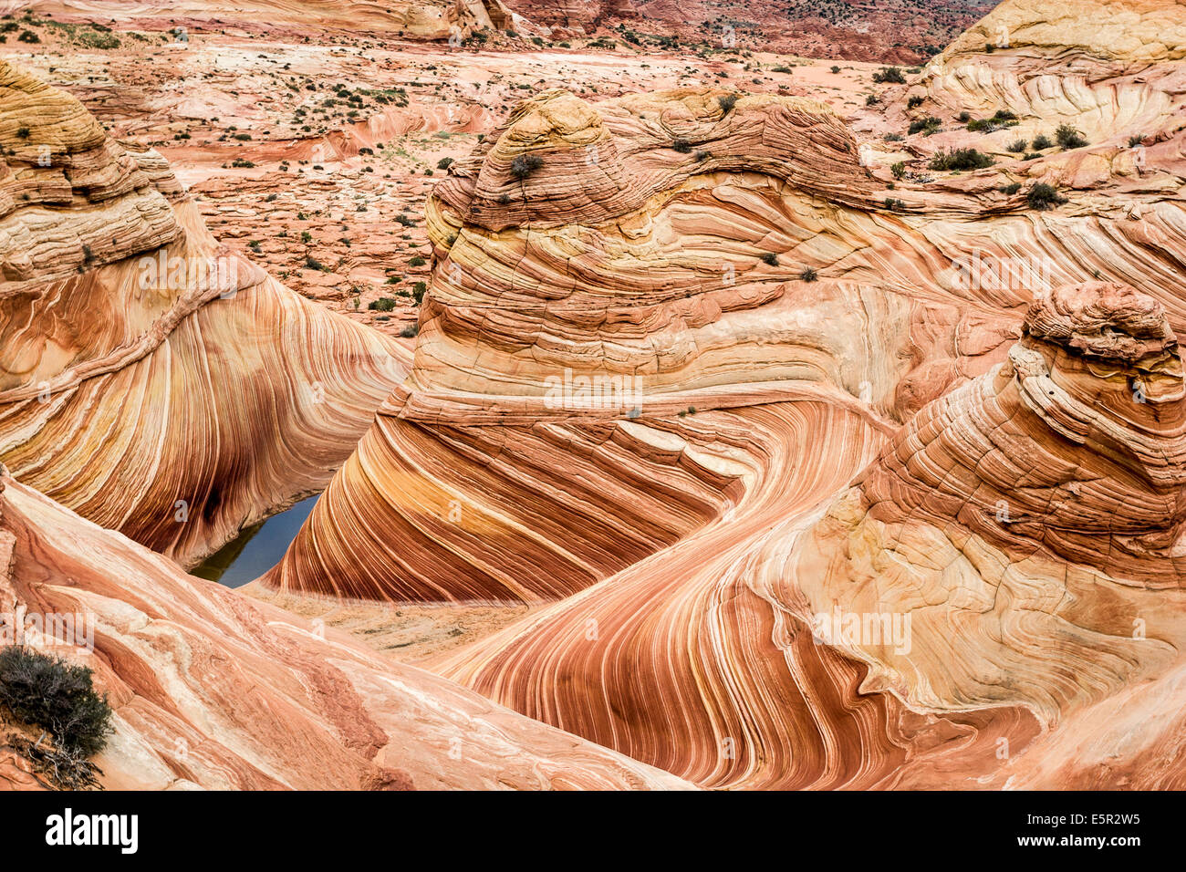 The Wave, Arizona. Amazing flowing rock formation in the rocky desert ...