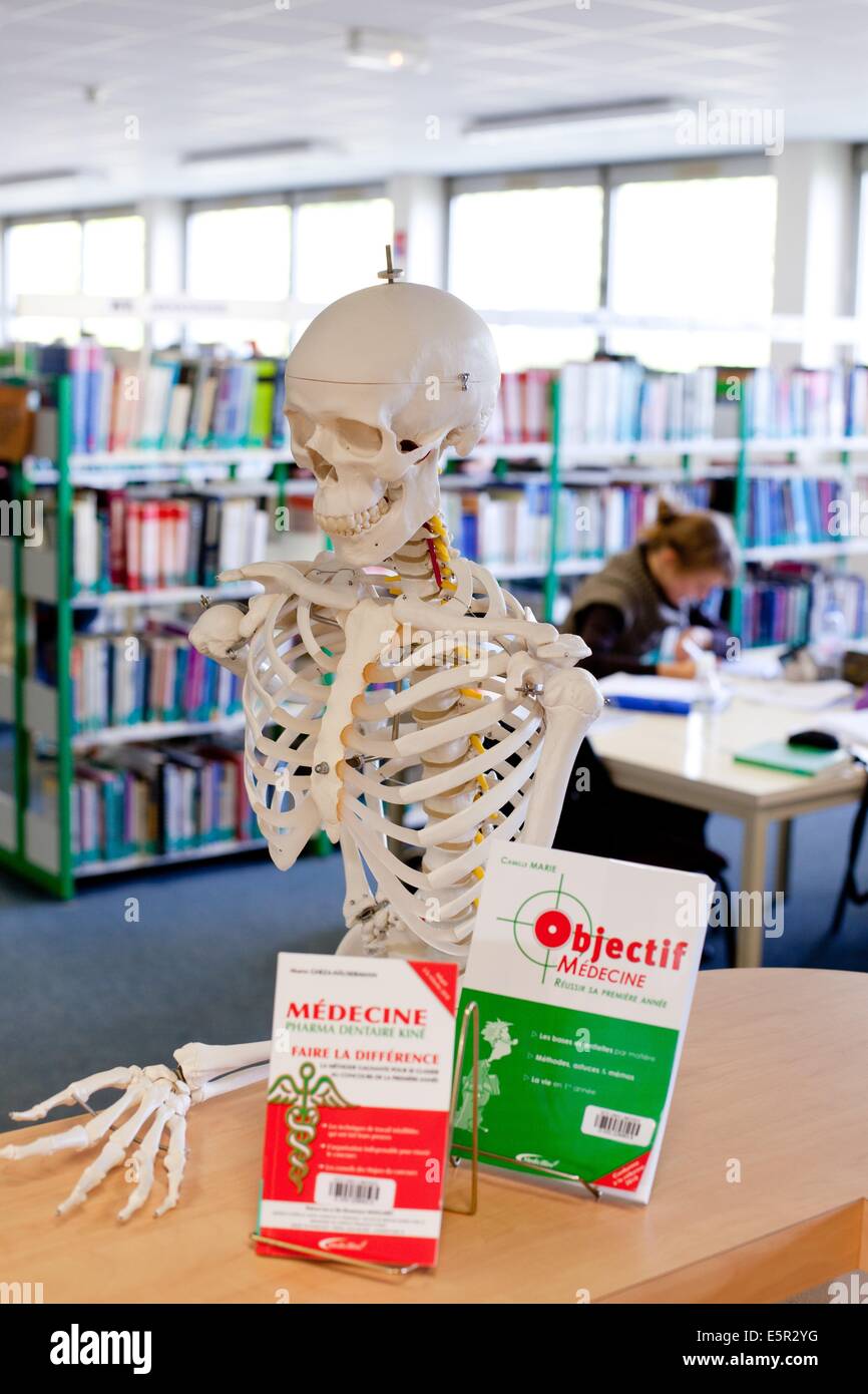 University library; Faculty of Medicine of Limoges, France Stock Photo ...