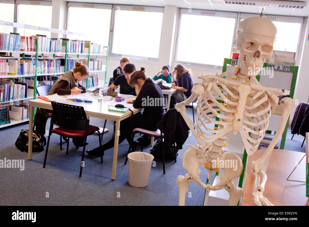 University library; Faculty of Medicine of Limoges, France Stock Photo ...
