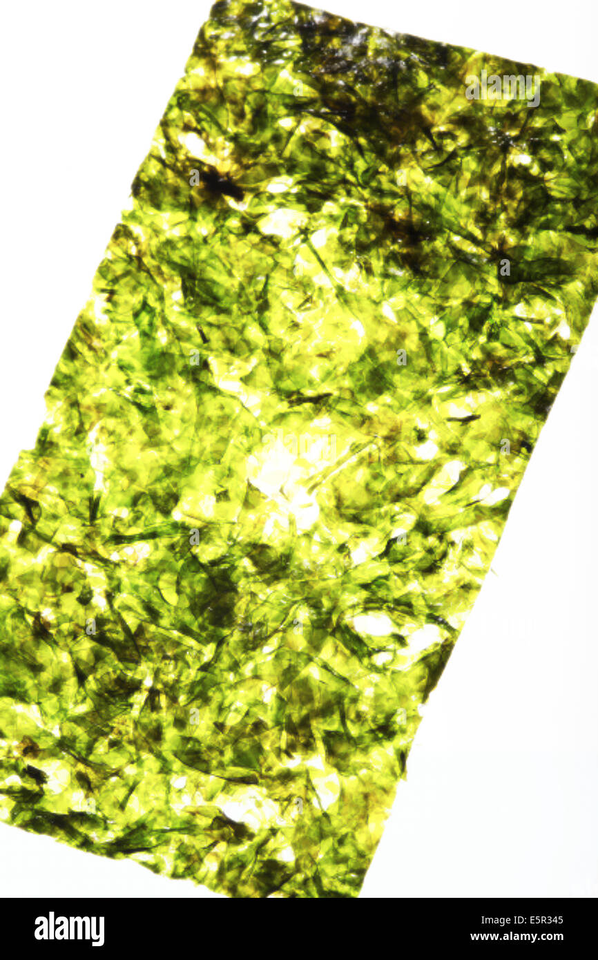 Dry edible seaweeds Stock Photo - Alamy