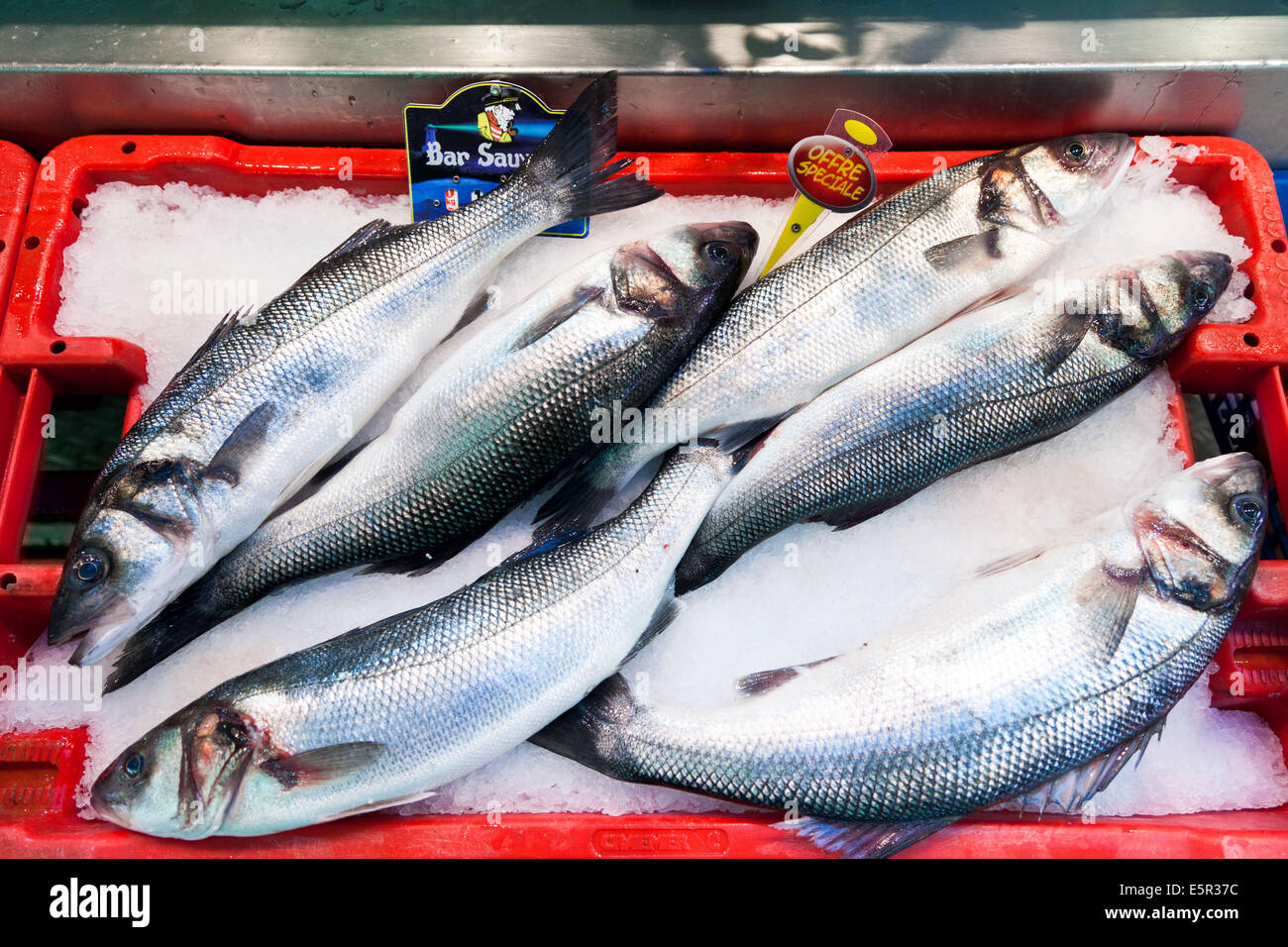 Trade fish hi-res stock photography and images - Alamy