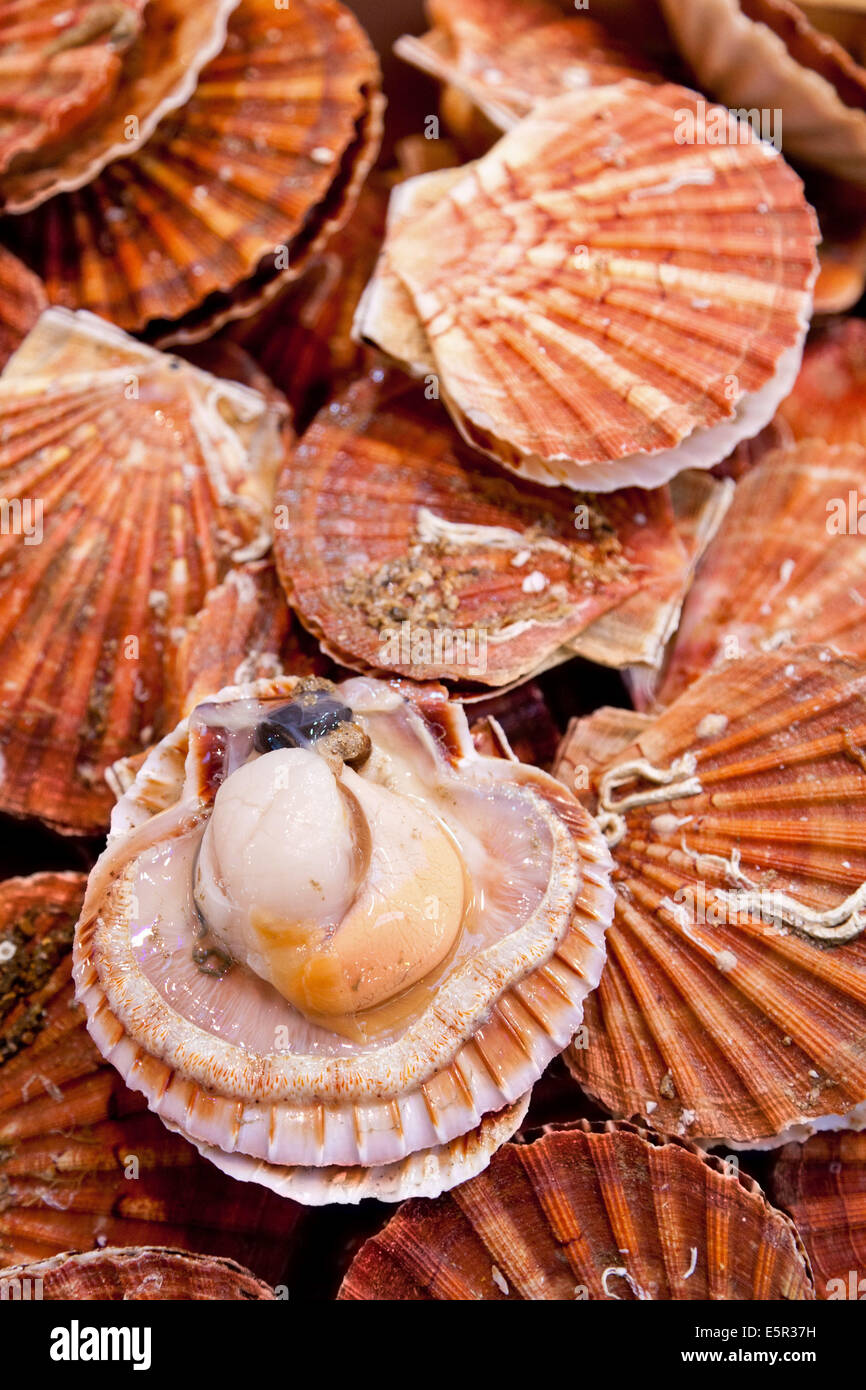 Saint jacques hi-res stock photography and images - Alamy