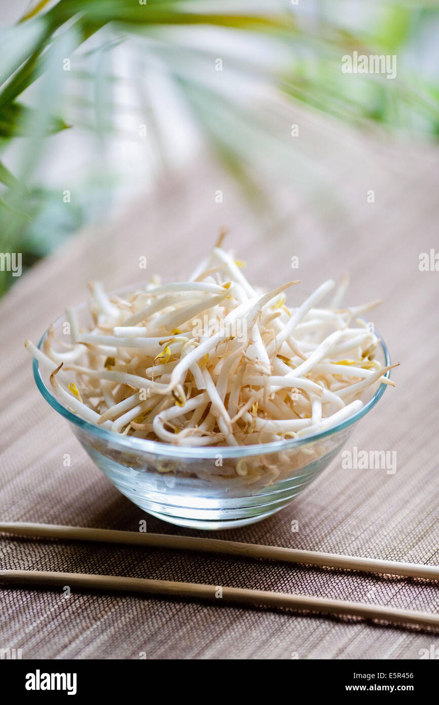 Soybean germ hi-res stock photography and images - Alamy