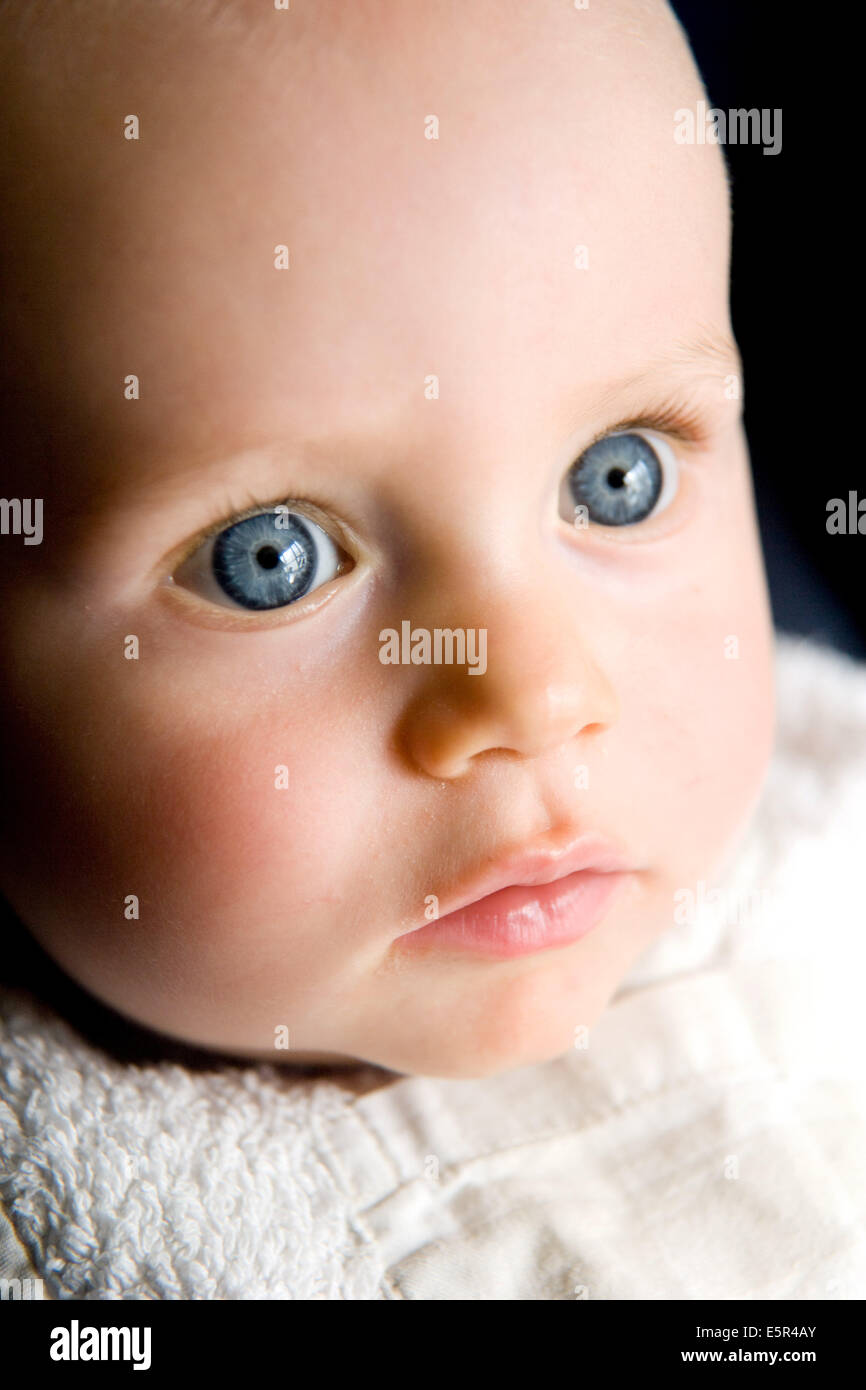 Portrait of 9 month old baby Stock Photo - Alamy