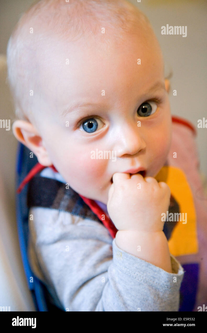 Portrait of a 12 month old baby boy Stock Photo - Alamy