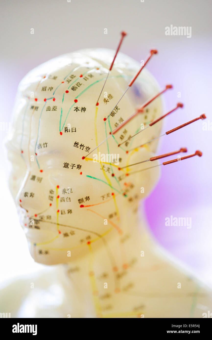 Acupuncture model hi-res stock photography and images - Alamy
