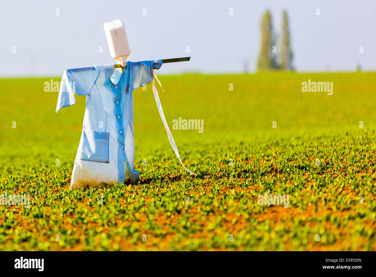 Scarecrow farming field hi-res stock photography and images - Alamy