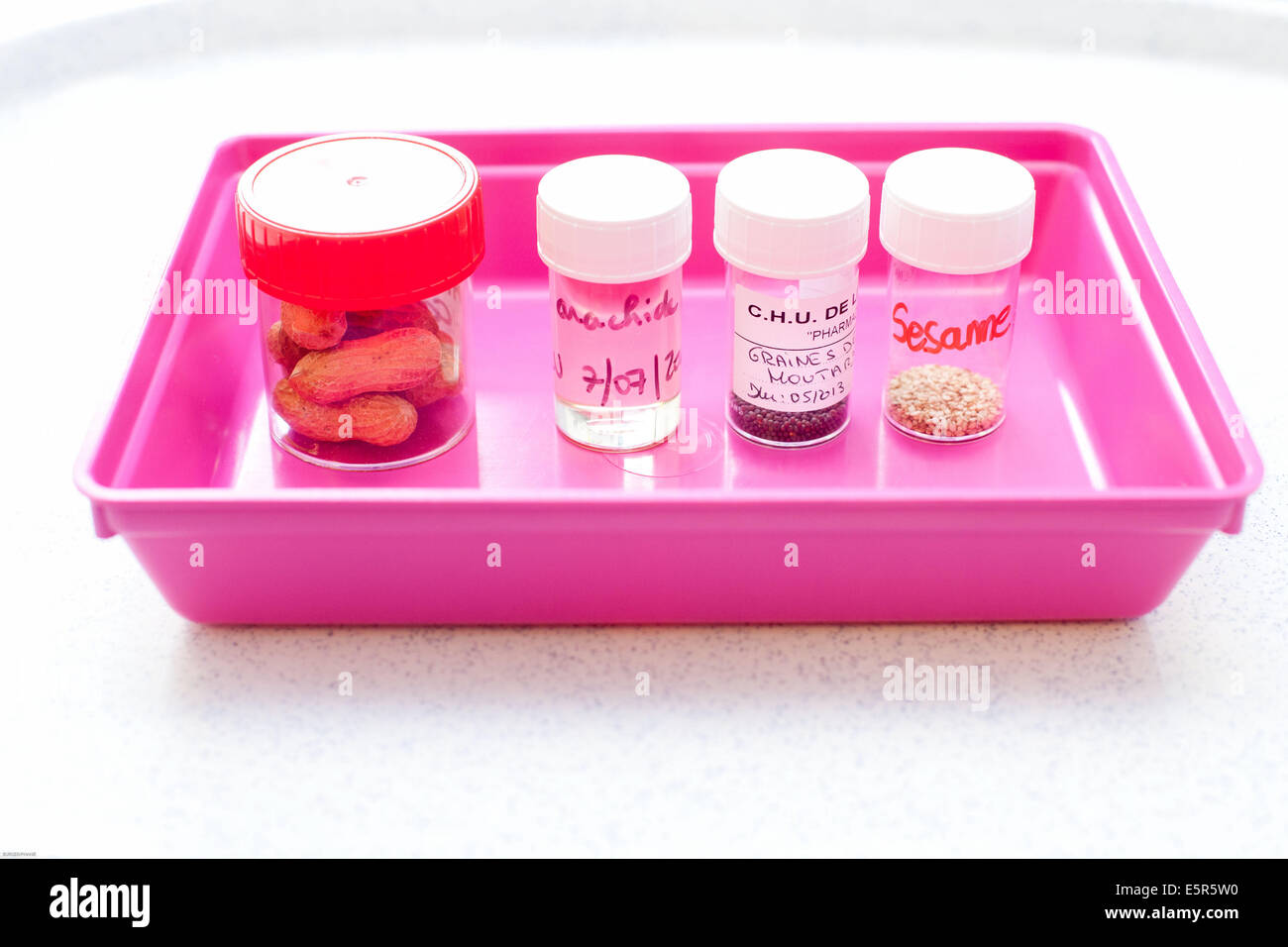 Preparation of skin prick tests with samples of allergens, Limoges ...