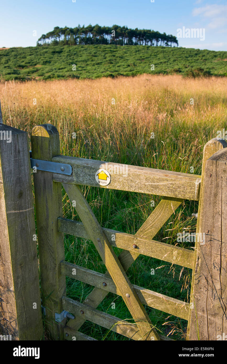 Bromlow hi-res stock photography and images - Alamy