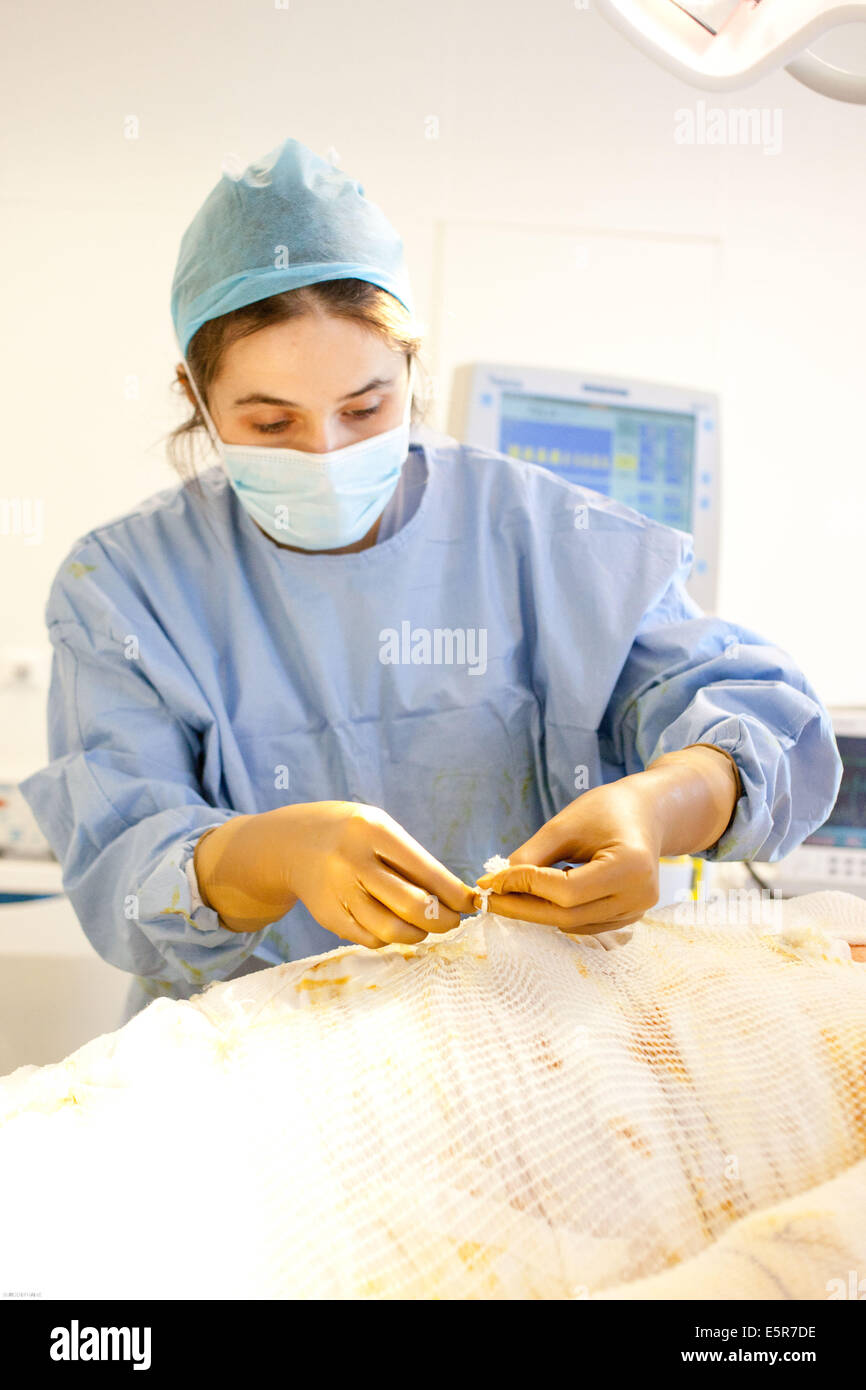 Hospital dressing room hi-res stock photography and images - Alamy