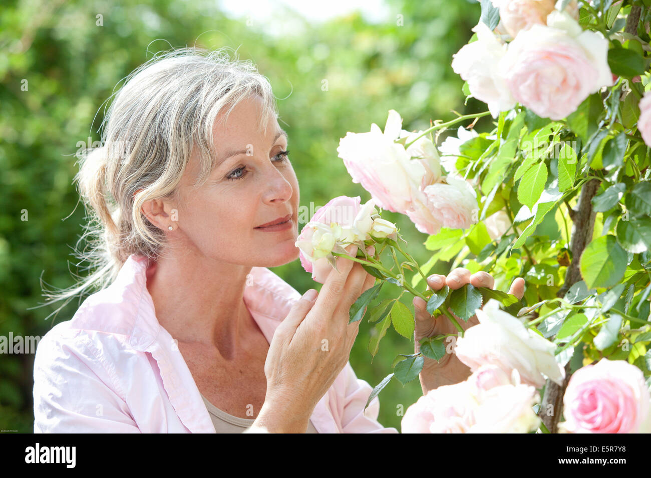 Woman smelling roses Stock Photo - Alamy