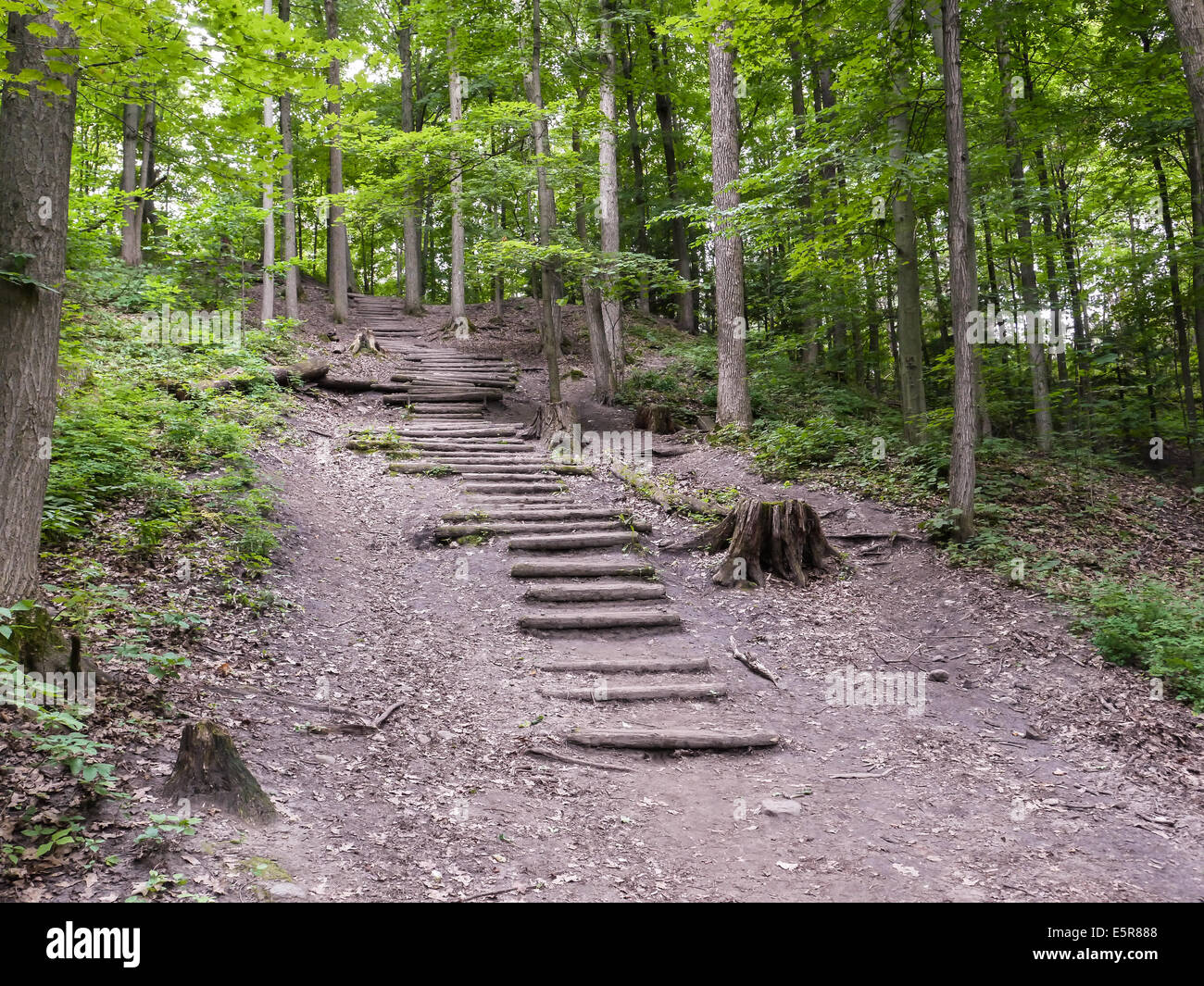 99 steps is a hiking trail in thorton bales conservation area in ...