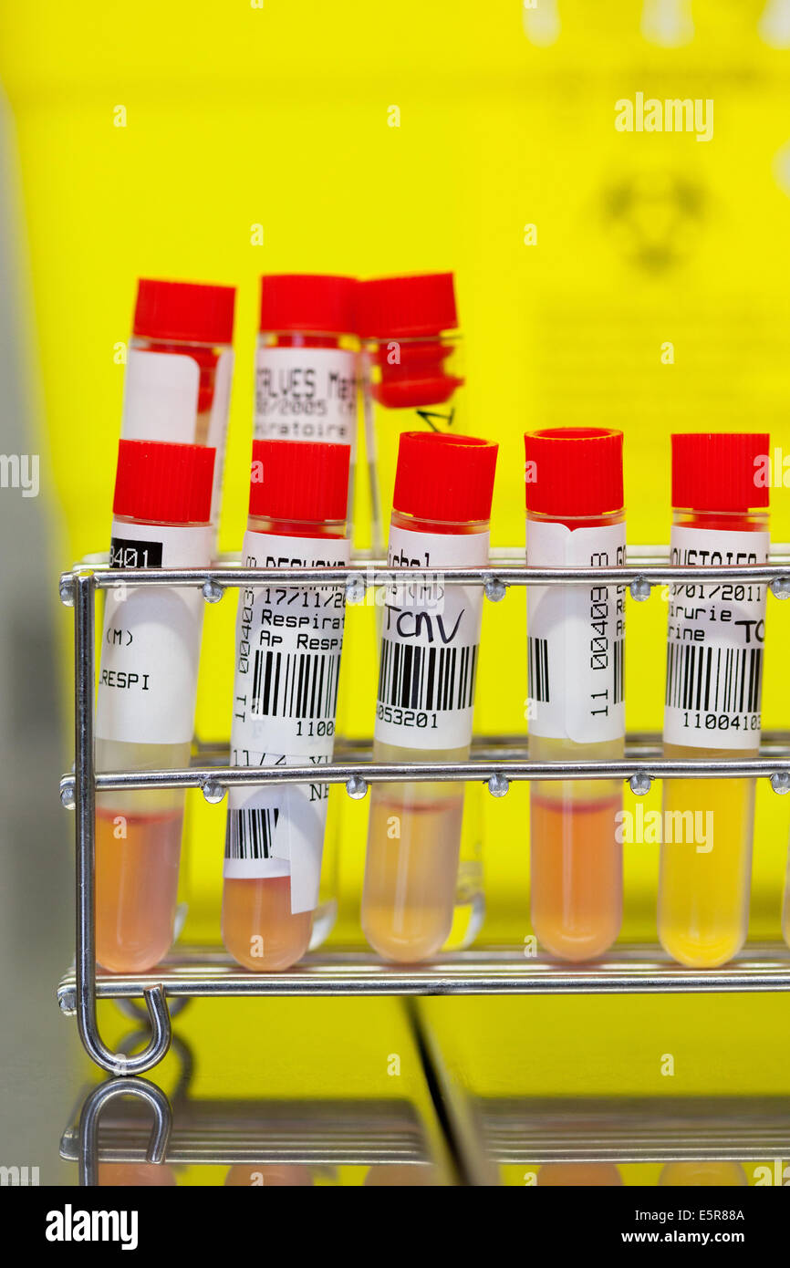 Medical virology hi-res stock photography and images - Alamy