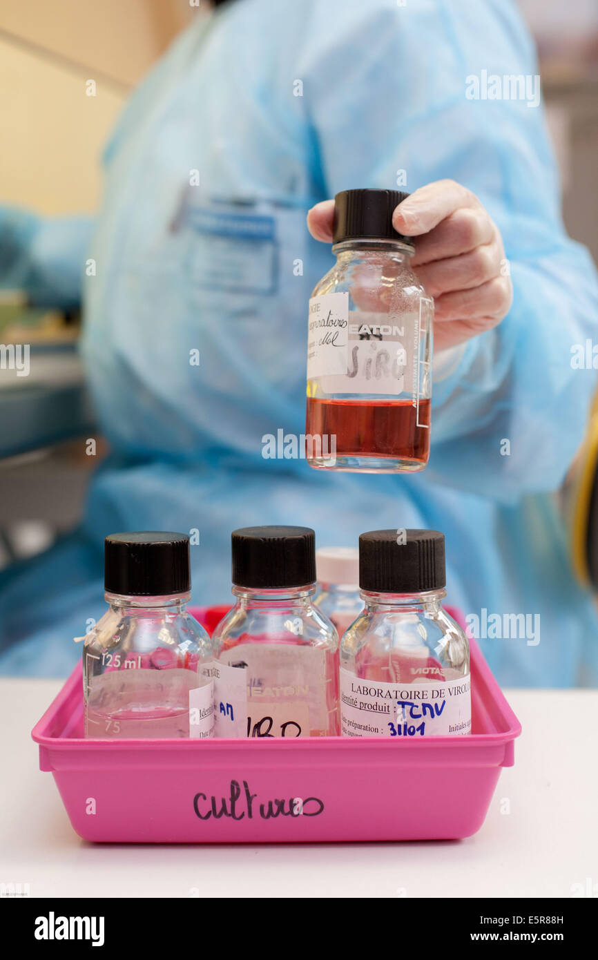 Virology laboratory, Limoges hospital, France Stock Photo - Alamy