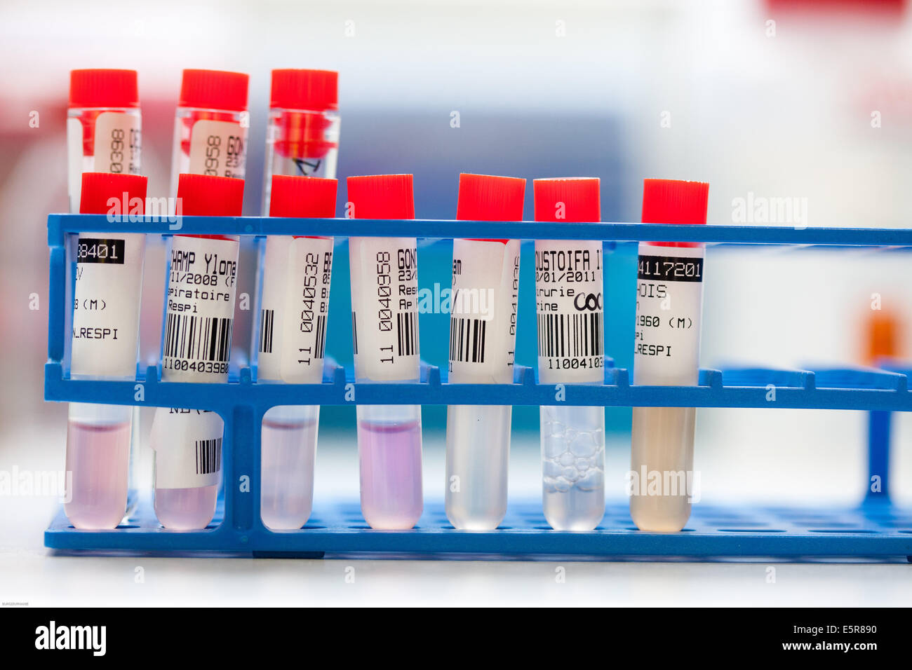 Virology laboratory hi-res stock photography and images - Alamy