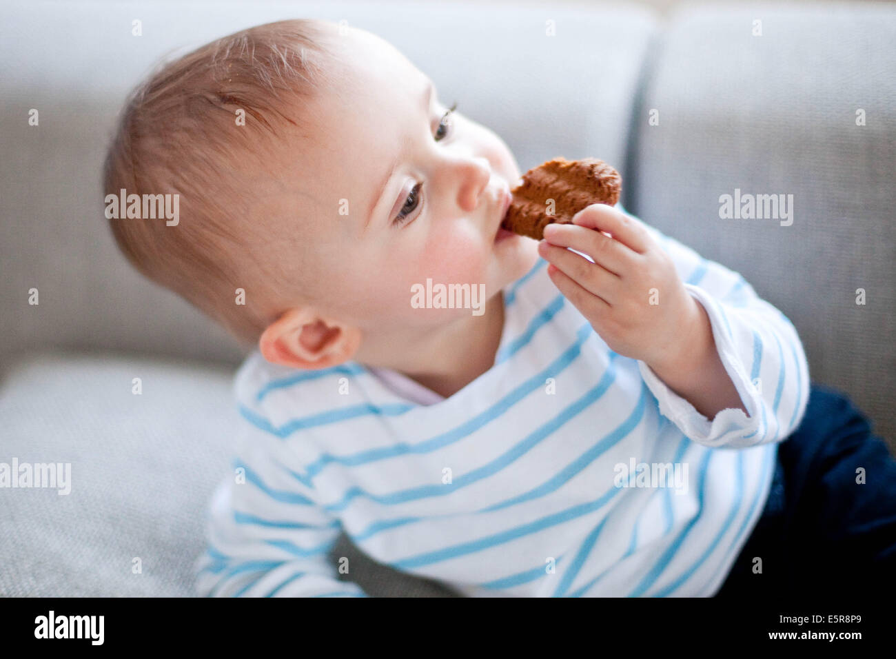 14 month old baby eating cookie Stock Photo - Alamy