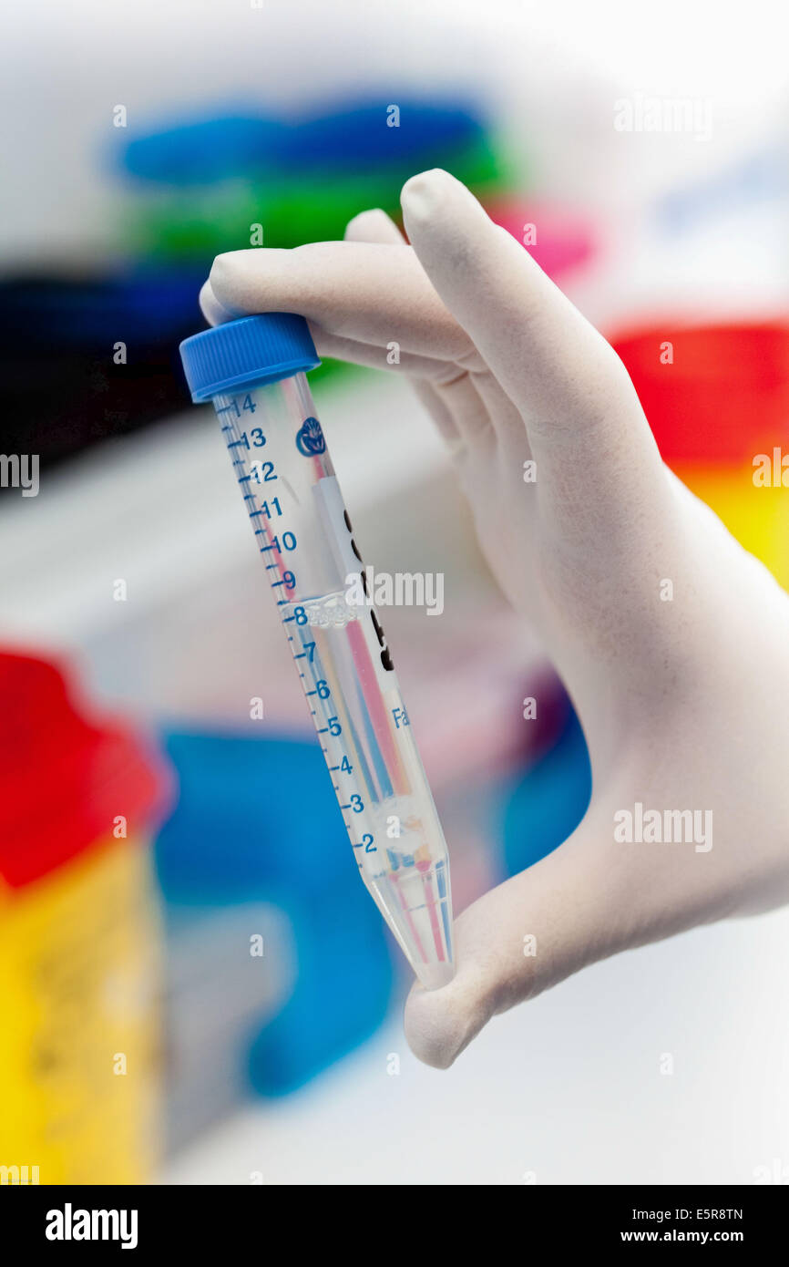 What Is Purified Dna at Tina Causey blog