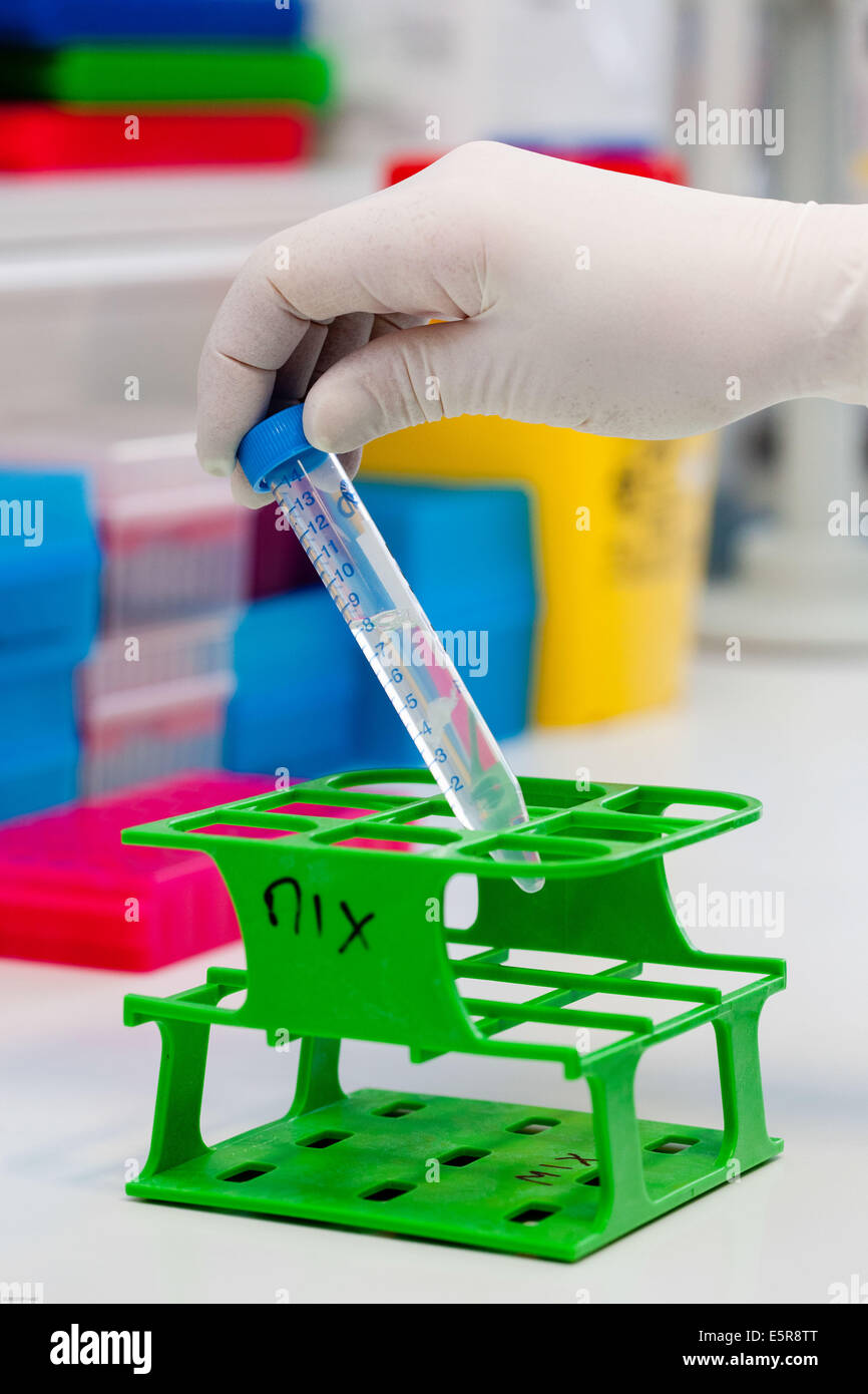 Preparation of purified DNA, called DNA medusa Stock Photo - Alamy