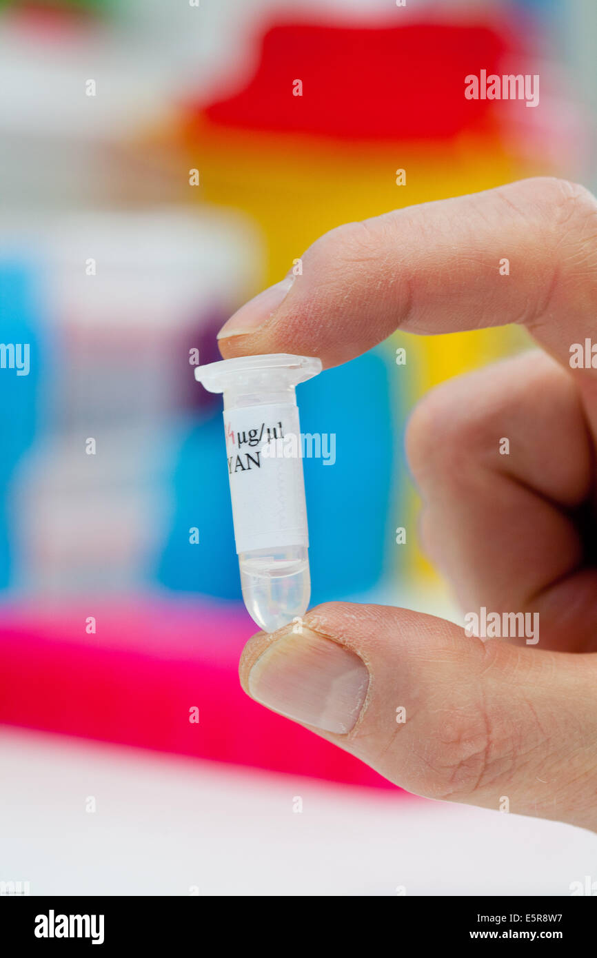 How to extract dna hi-res stock photography and images - Alamy