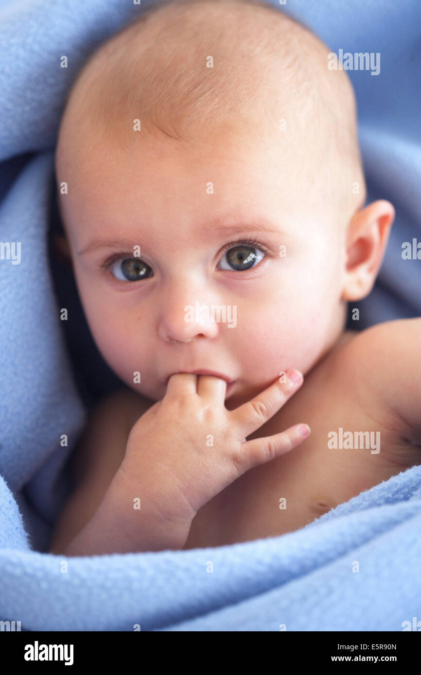 Portrait of 7 month old baby Stock Photo - Alamy