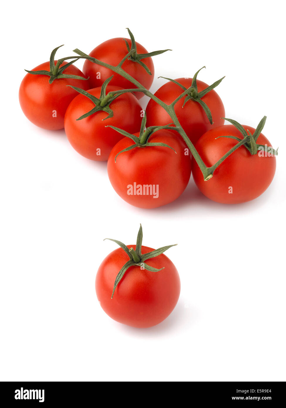 Polytunnel tomato Cut Out Stock Images & Pictures - Alamy