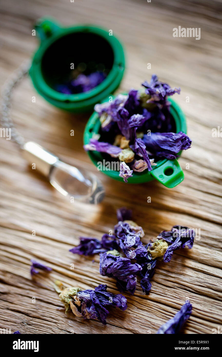 Malva sylvestris tea hi-res stock photography and images - Alamy