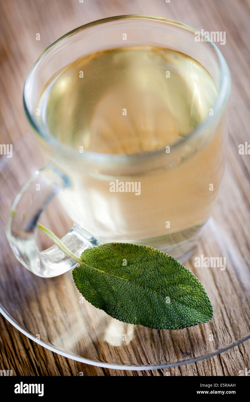 Herbal tea sage hi-res stock photography and images - Alamy
