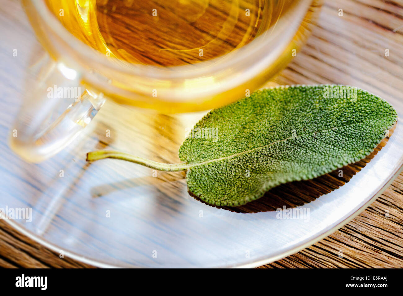 Sage herbel tea Stock Photo - Alamy