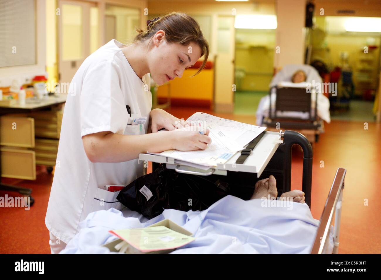Nurse filling a patient medical records after giving care, Emergency ...