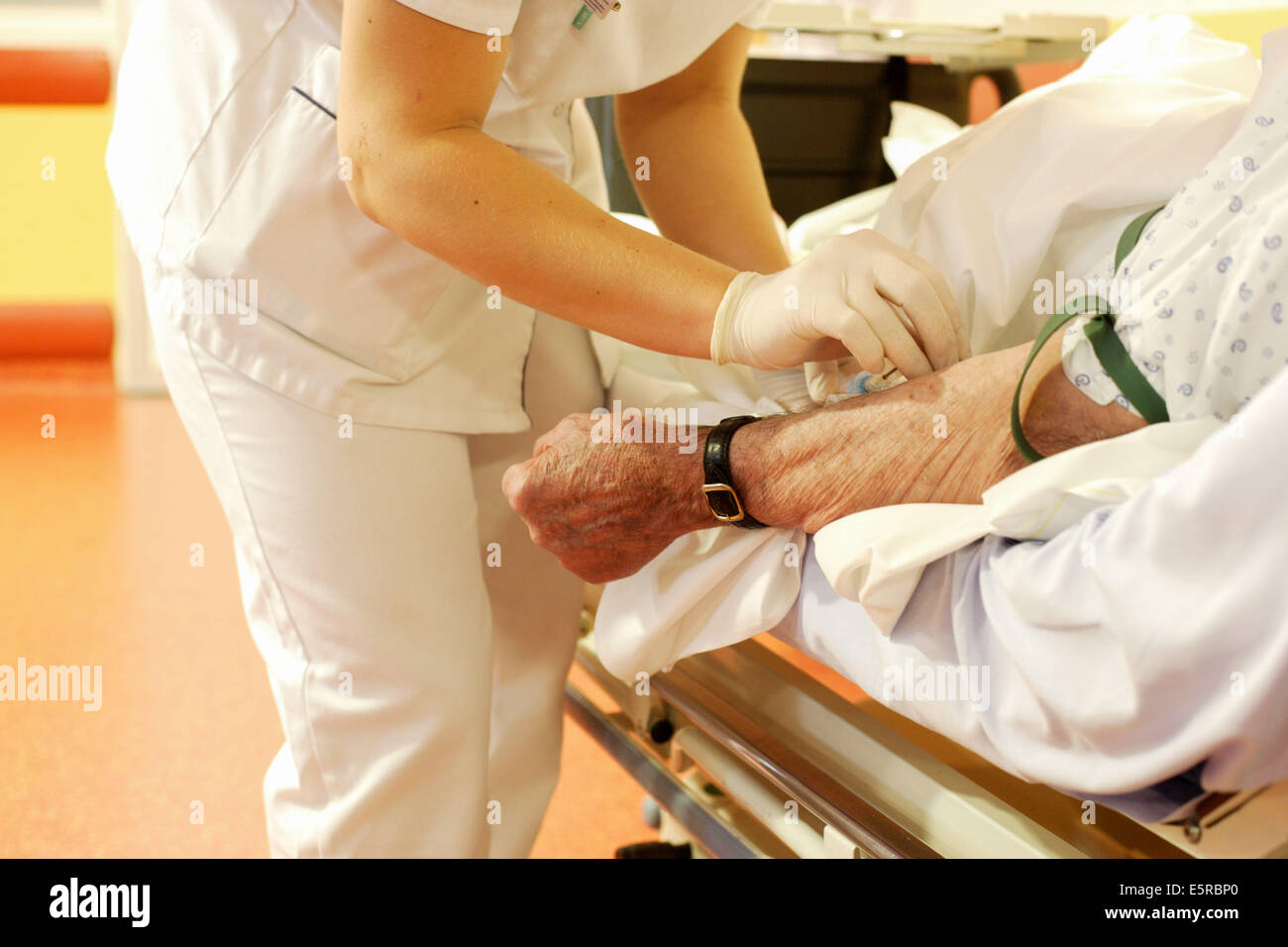 Nurse taking blood sample from a patient, Emergency department, Limoges ...
