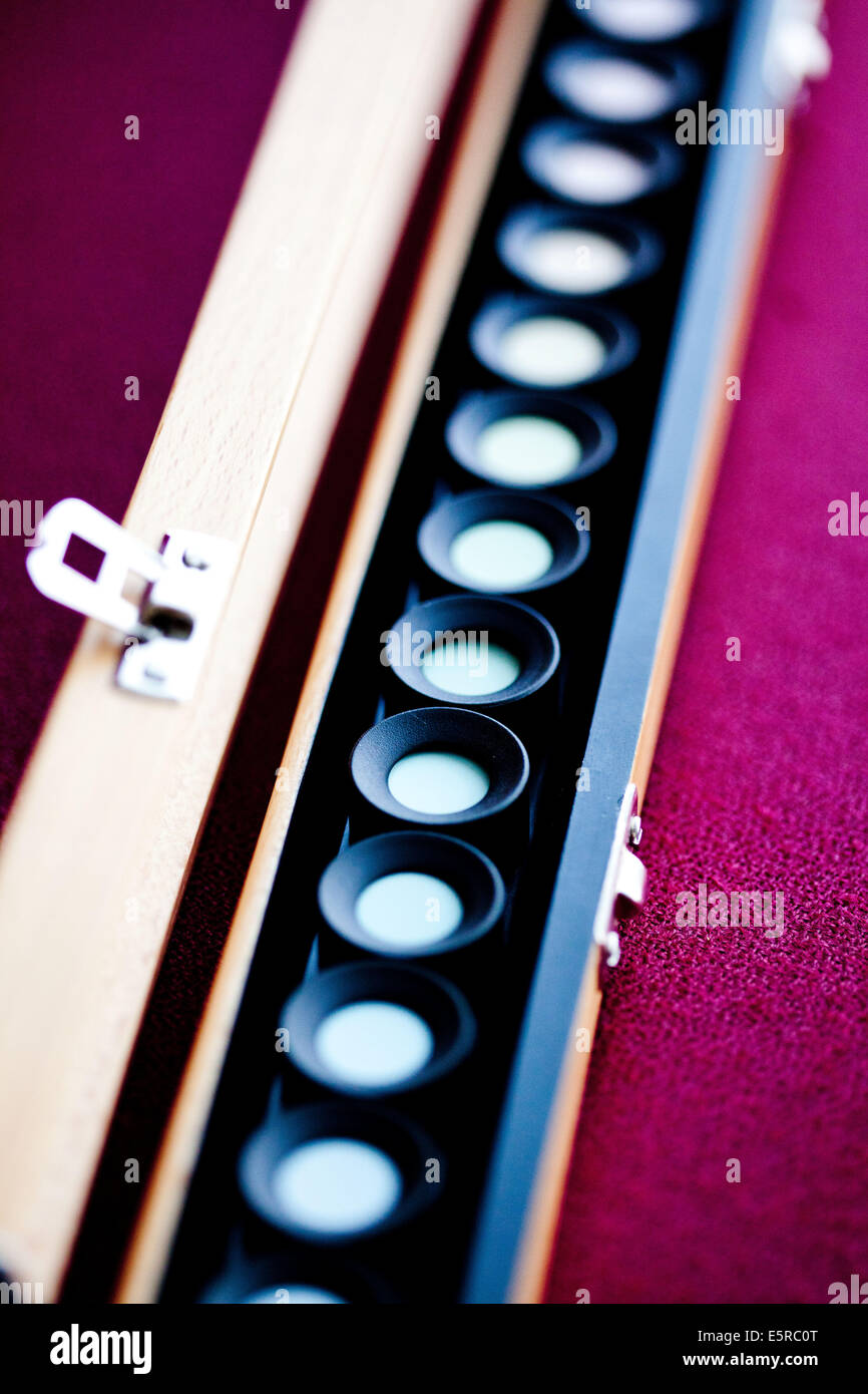 The Farnsworth-Munsell Dichotomous D-15 Test is an abridged version of ...