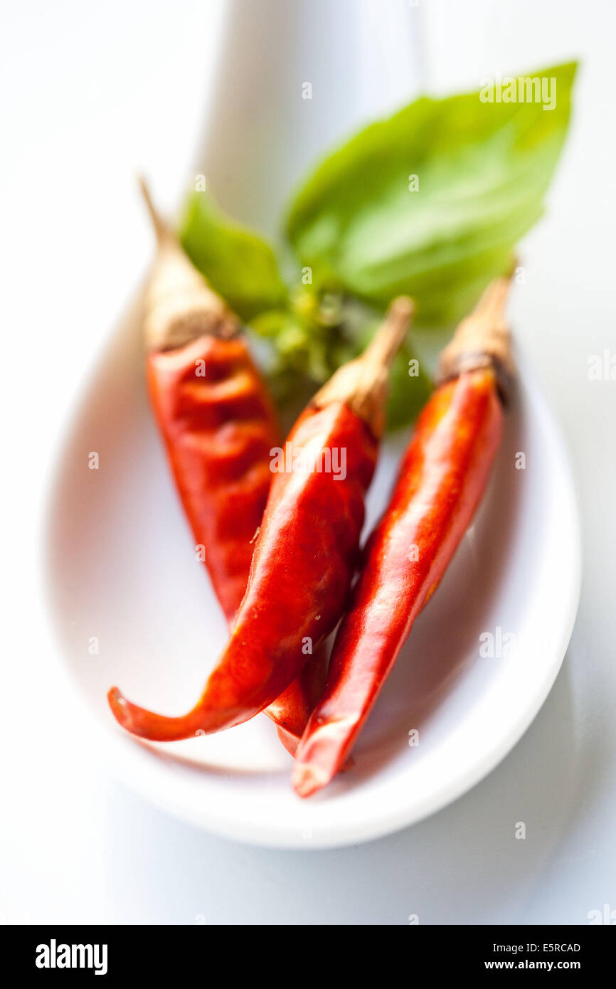 Red chilli peppers (Capsicum sp Stock Photo - Alamy