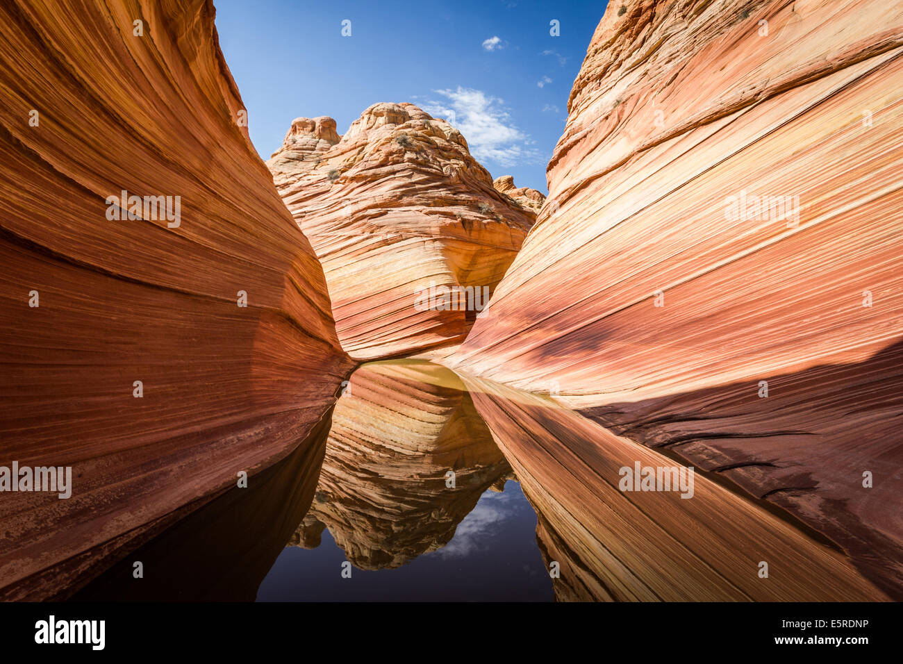 The Wave, Arizona. Amazing flowing rock formation in the rocky desert ...