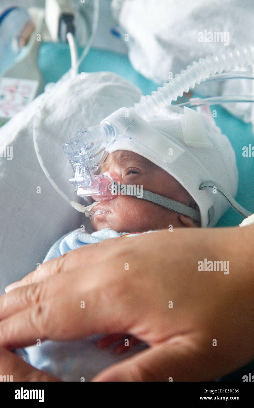 Premature newborn baby placed under respiratory assistance, mother ...