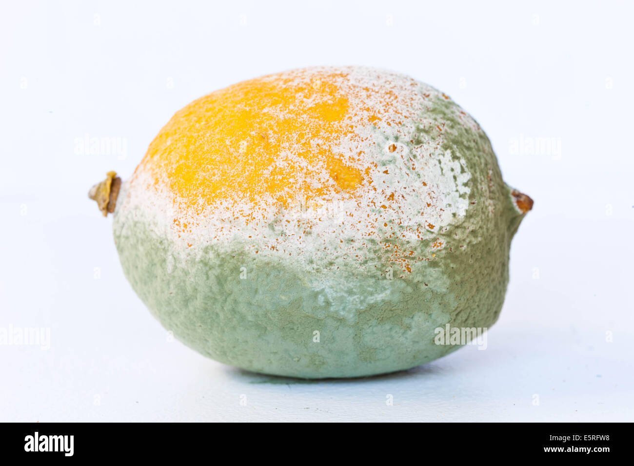 Mouldy fruit hi-res stock photography and images - Alamy