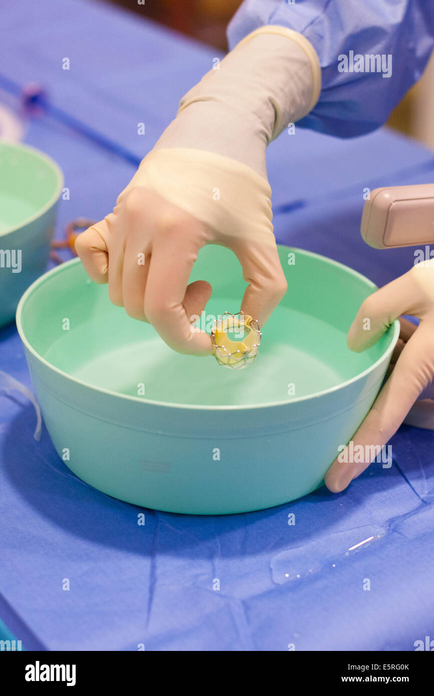 Replacement of a percutaneous aortic valve with a bioprosthetic valve ...