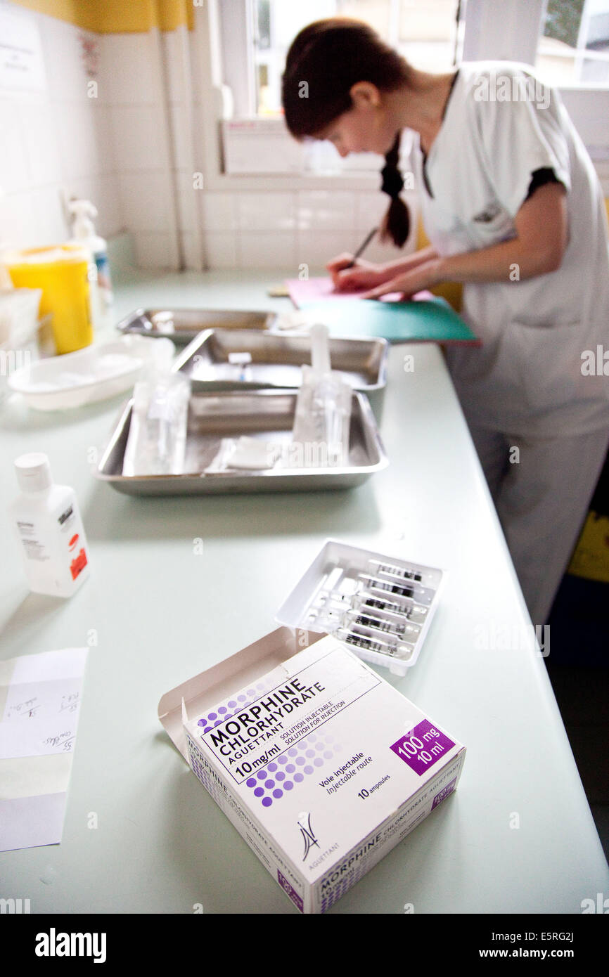 Nurse preparing an injection of morphine, Palliative care department ...