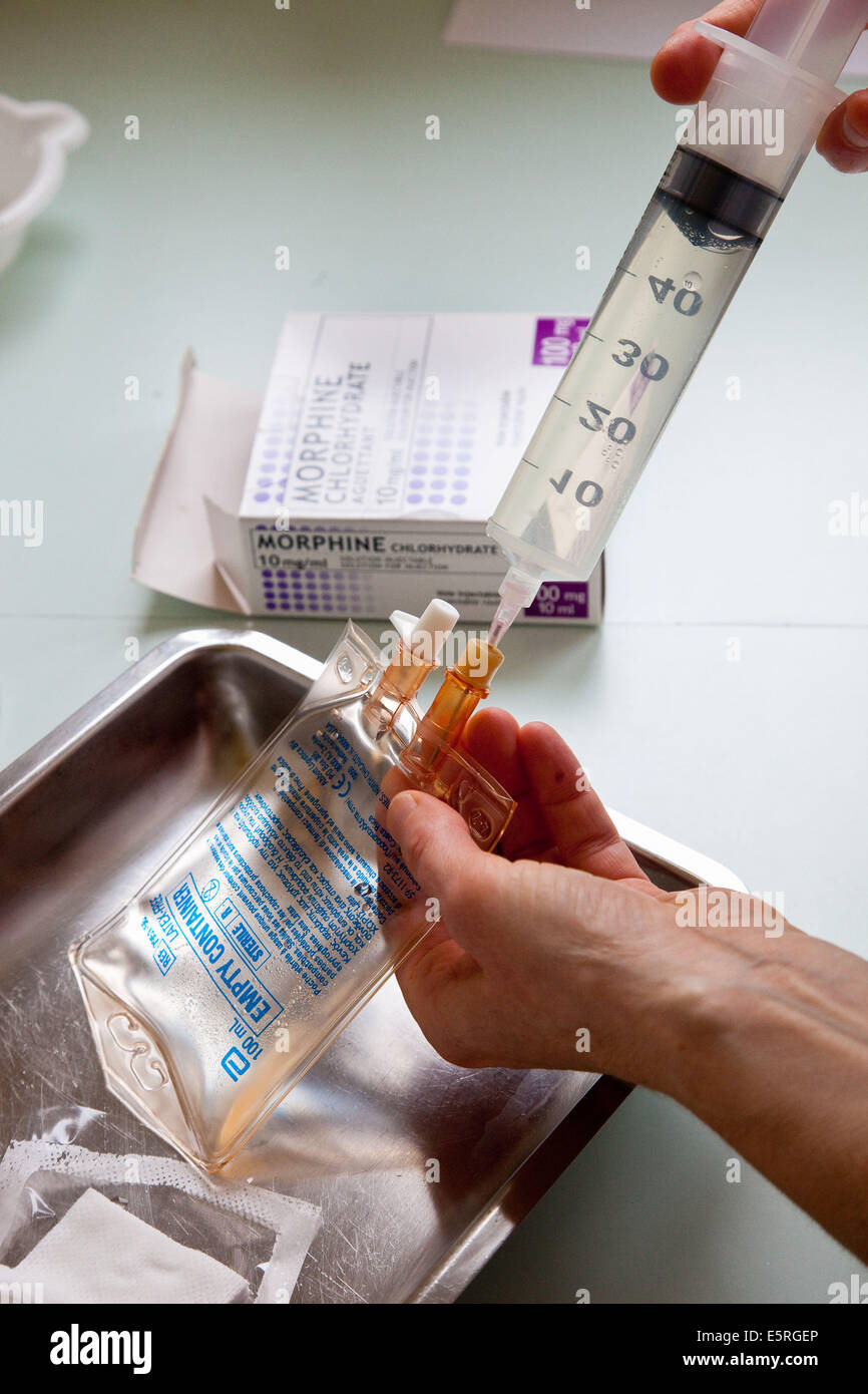 Nurse preparing an injection of morphine, Palliative care department ...