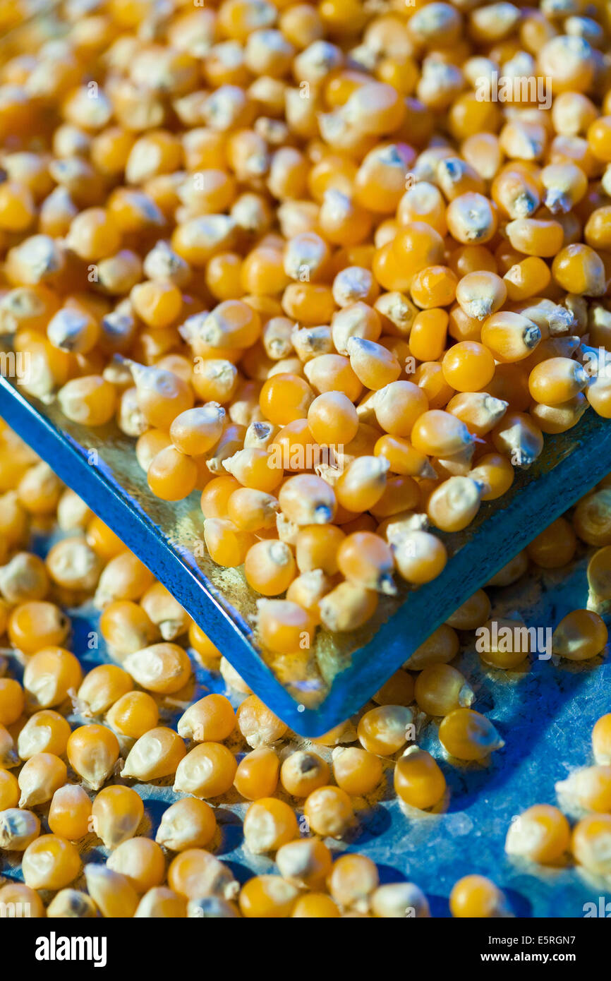 Starchy vegetables hi-res stock photography and images - Alamy