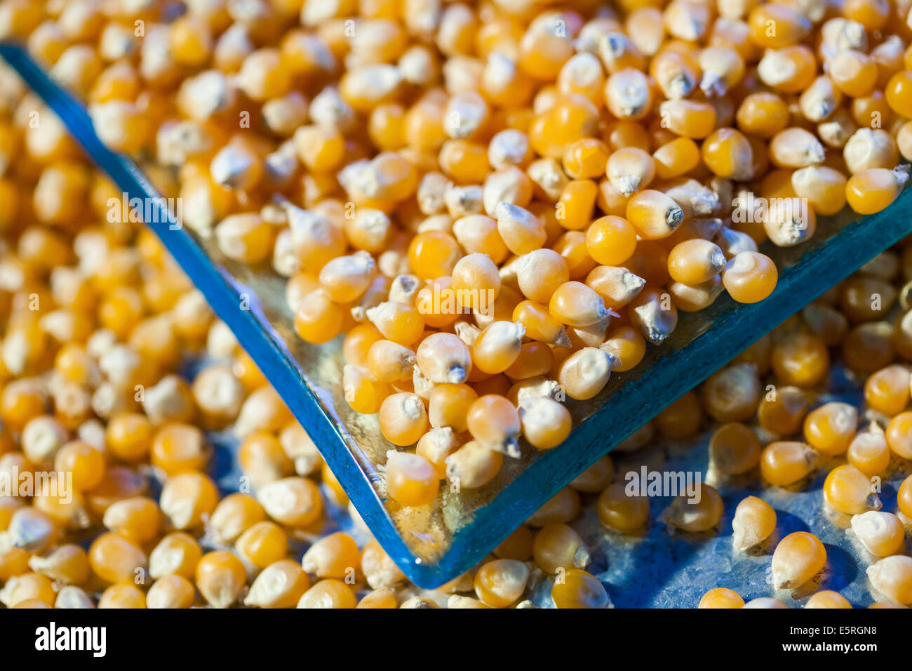 Loose corn hi-res stock photography and images - Alamy