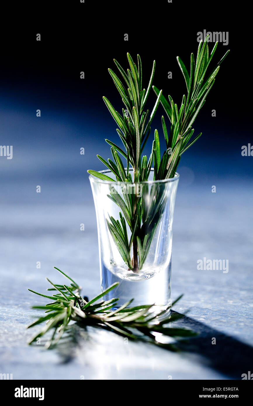 Rosemary Leave Hi res Stock Photography And Images Alamy