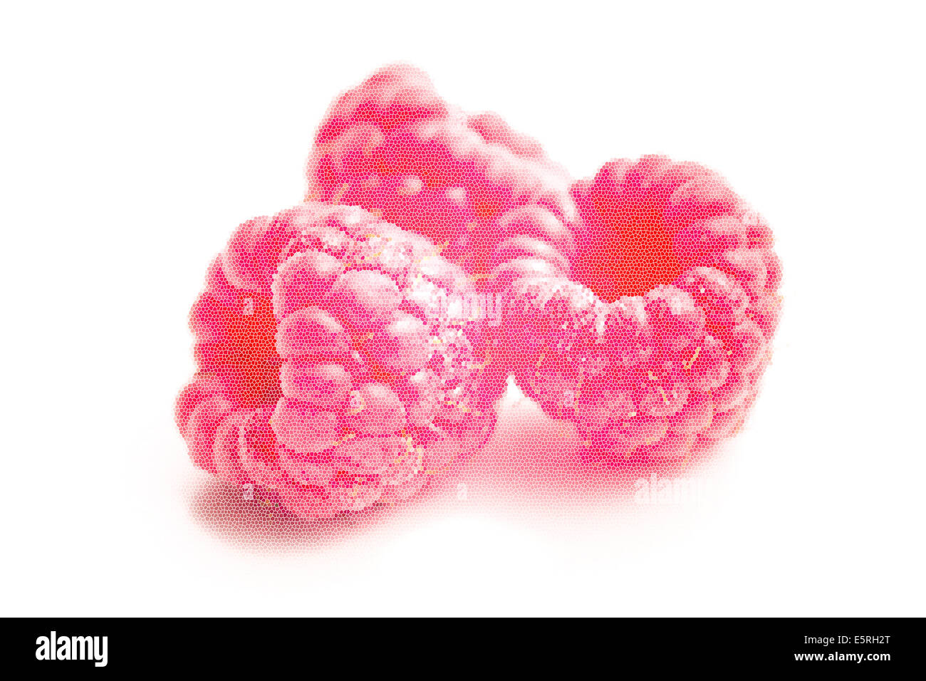 mosaic fruit. raspberry on white background Stock Photo - Alamy