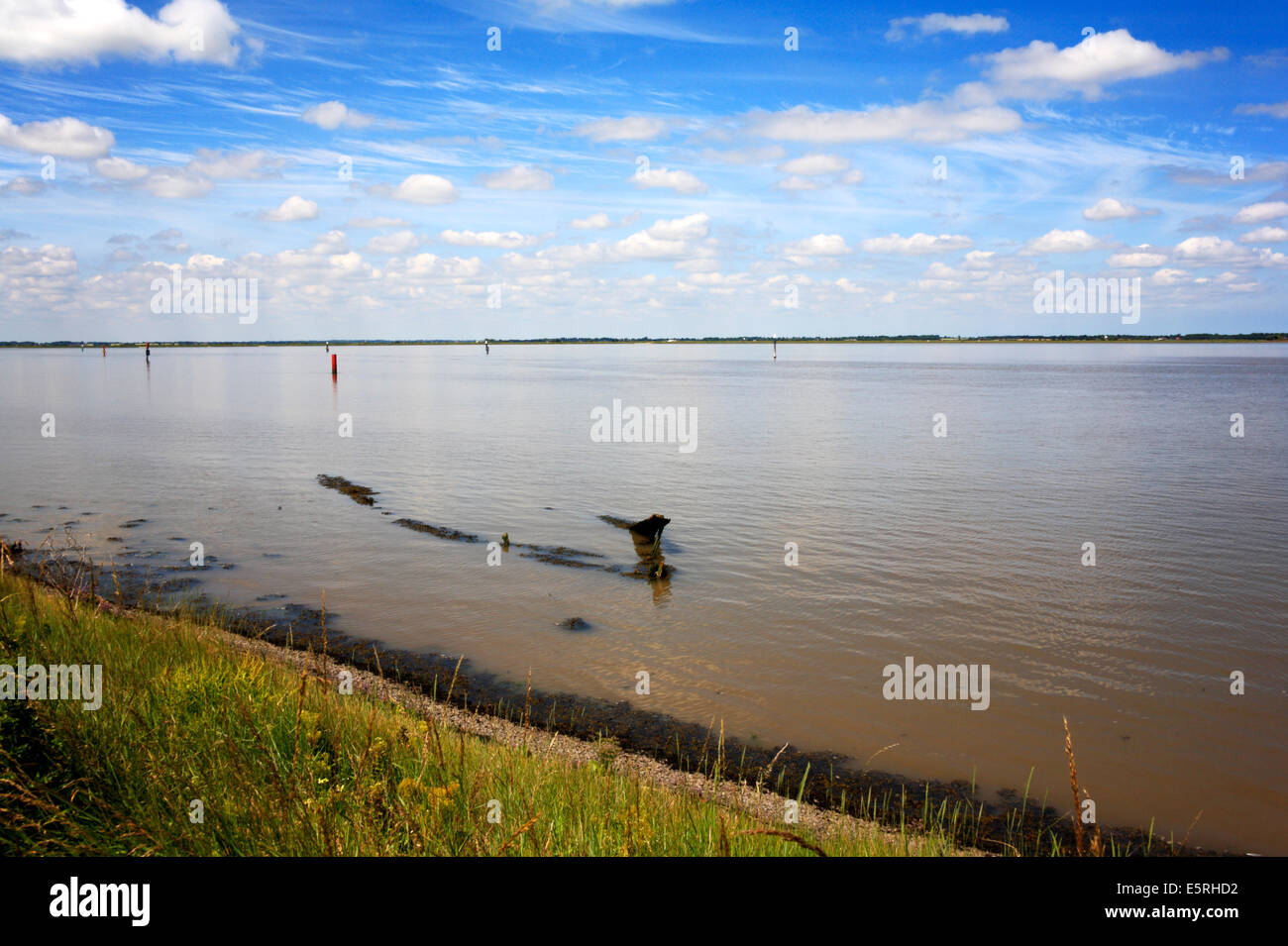 A view of Breydon Water with sunken boat remains near Great Yarmouth ...