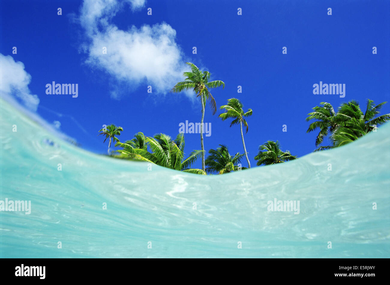 Aitutaki Lagoon, Cook Islands, South Pacific Ocean Stock Photo - Alamy