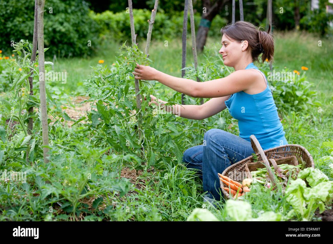 Woman in an organic vegetable garden Stock Photo - Alamy