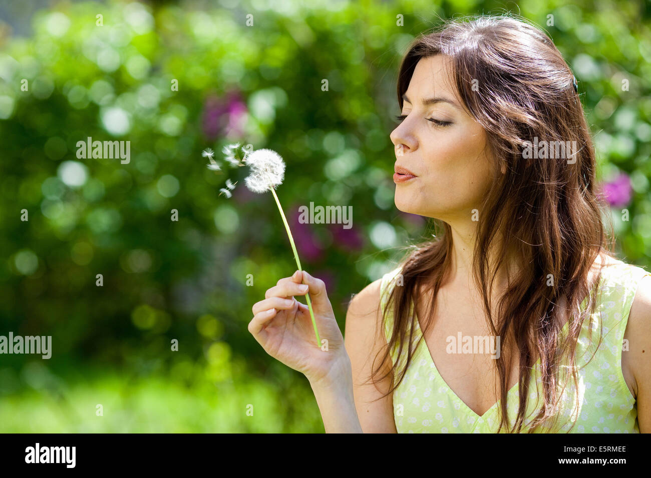 Blowing a flower hi-res stock photography and images - Alamy