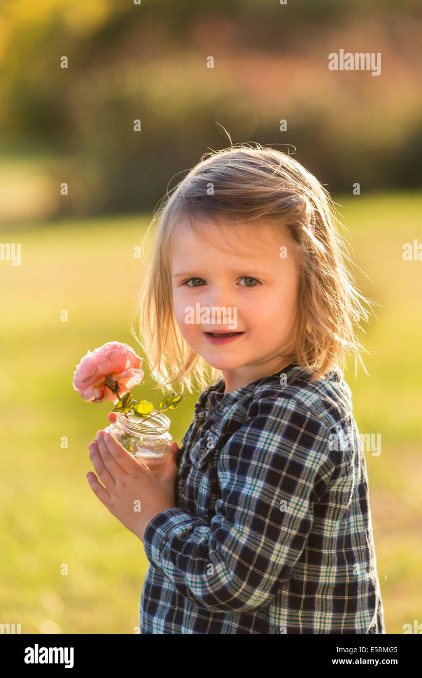 3 rose hi-res stock photography and images - Alamy