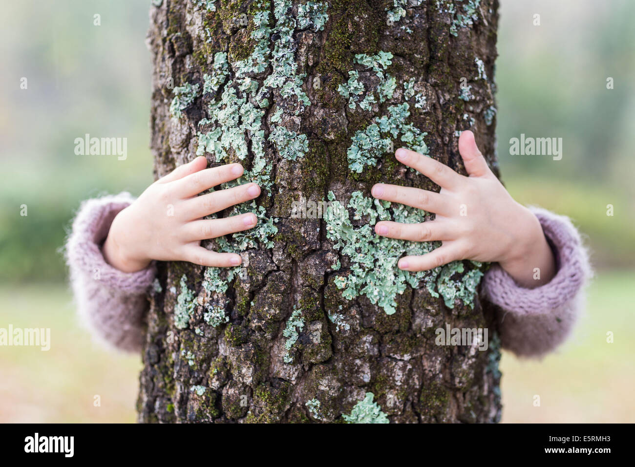 Girl hiding behind a tree Stock Photo - Alamy