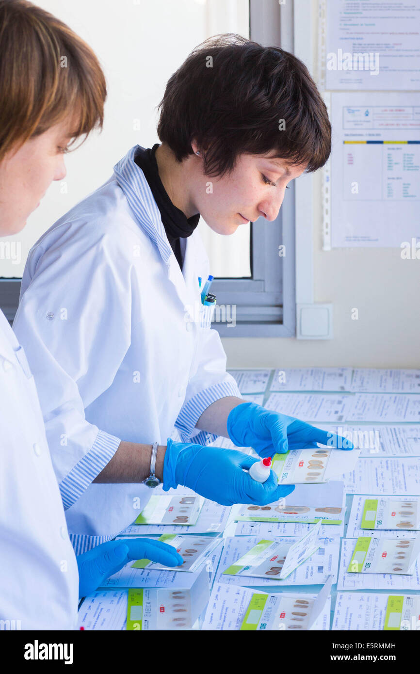 Hemoccult hi-res stock photography and images - Alamy